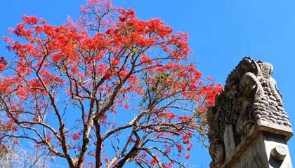 Inhotim: o museu que combina arte e natureza a 1 hora de BH