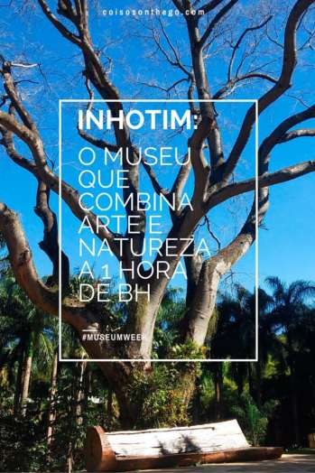 Inhotim: o museu que combina arte e natureza a 1 hora de BH